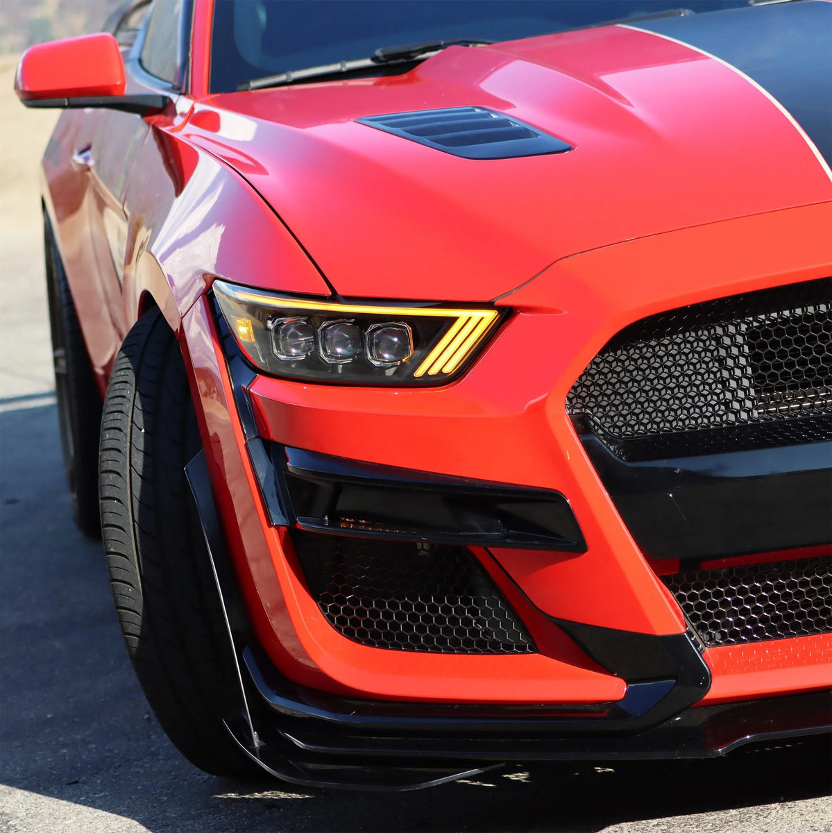 AlphaRex 2015 - 2017 Ford Mustang / 2018 - 2020 GT350 / GT500 NOVA Ser – GUMOTORSPORT